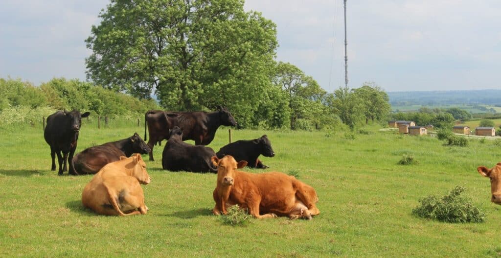 Fair Farm Hideaway Hut Melton Mowbray Leicestershire