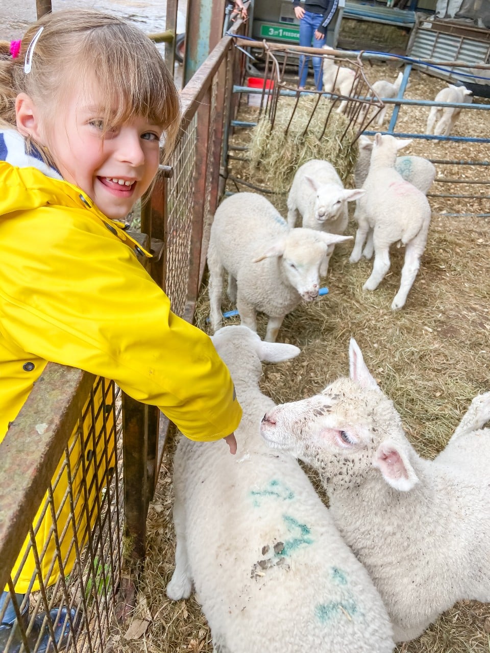 Glamping Hampshire with Hot Tub Manor Farm at Featherdown Farms