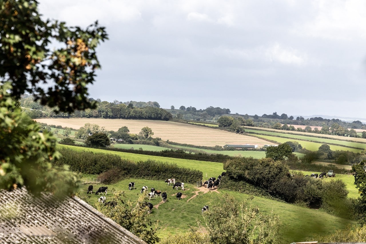 Billingsmoor Feather Down Farm Cullompton