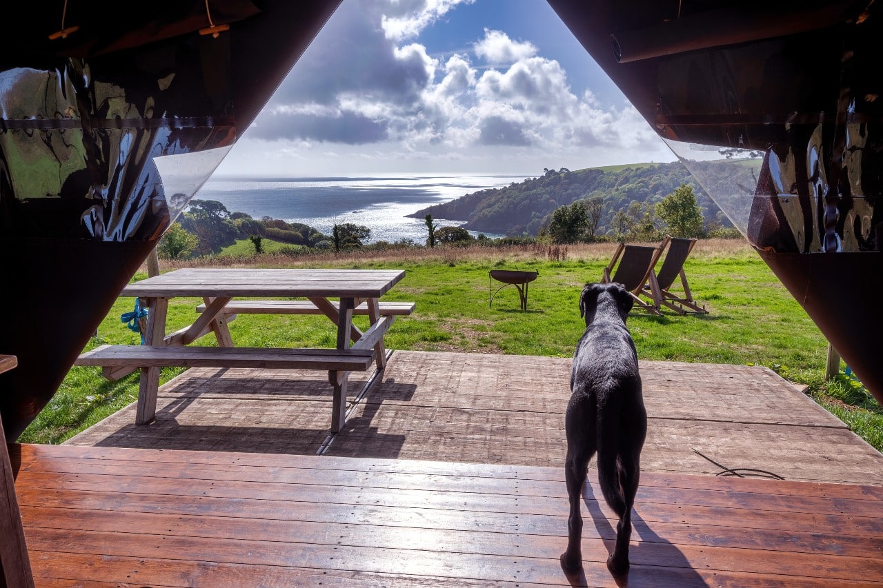Glamping Devon Feather Down Fountain Violet Farm