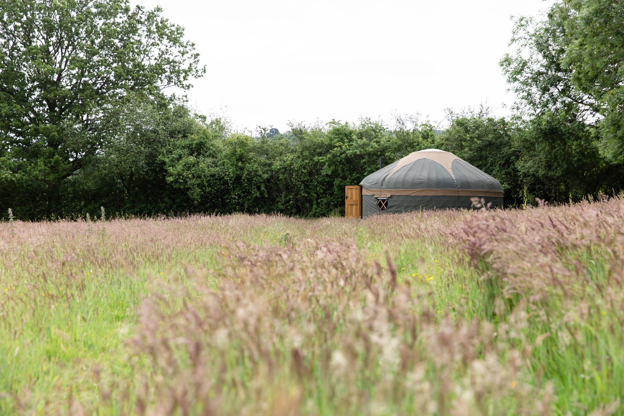 Glamping Surrey and London at Surrey Hills Yurts