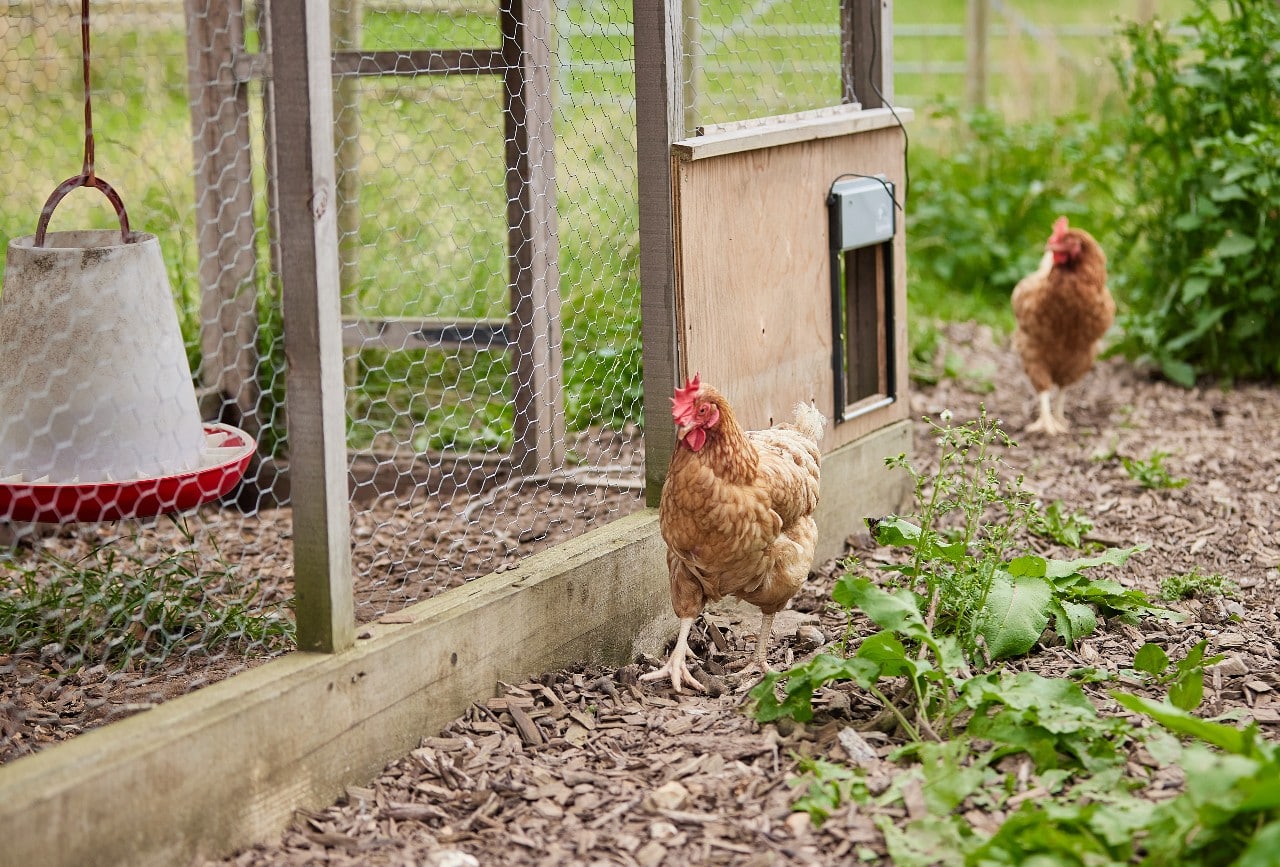 Heydon Grove Farm Norwich