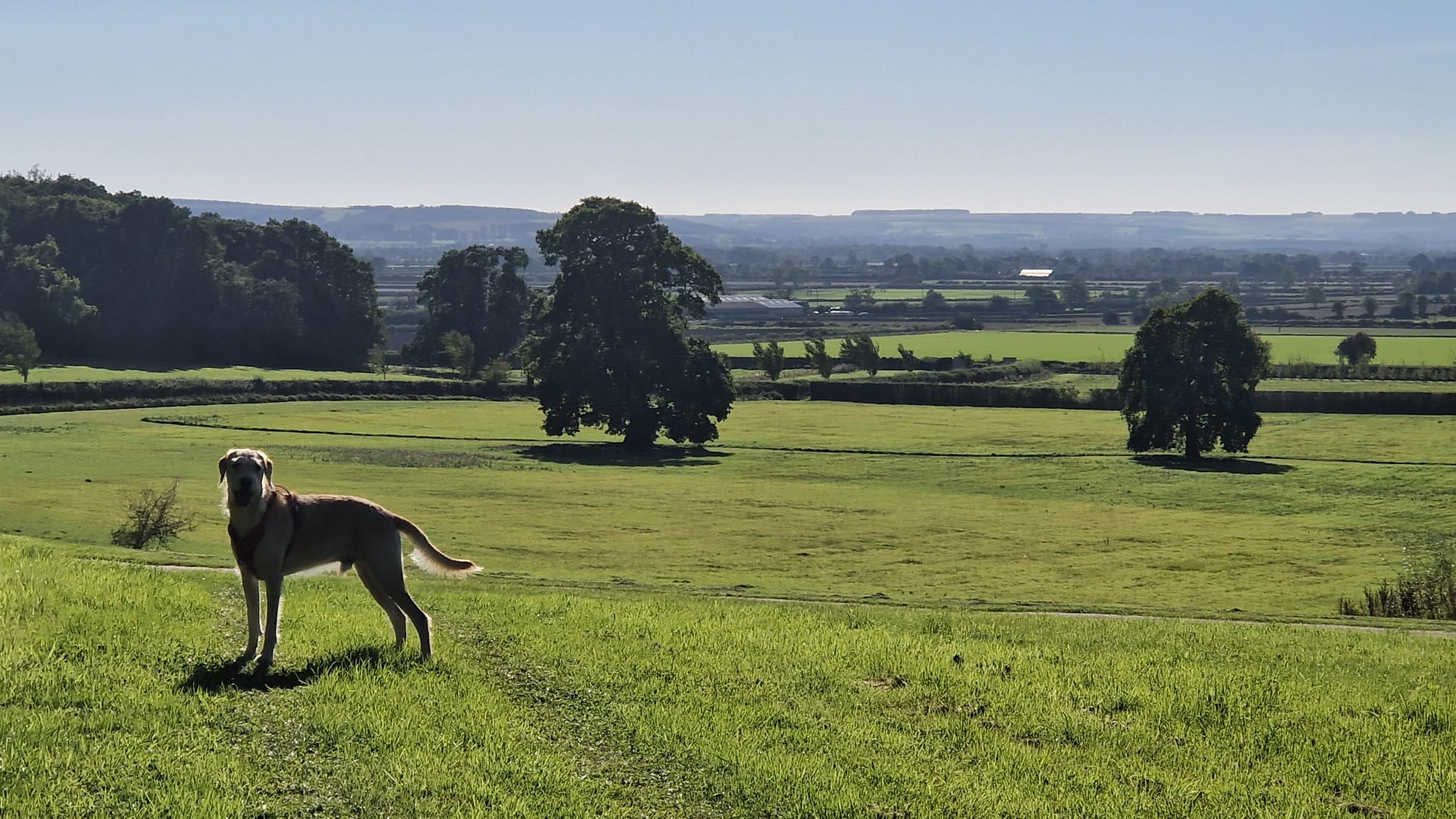 High Oak Grange Glamping in Yorkshire