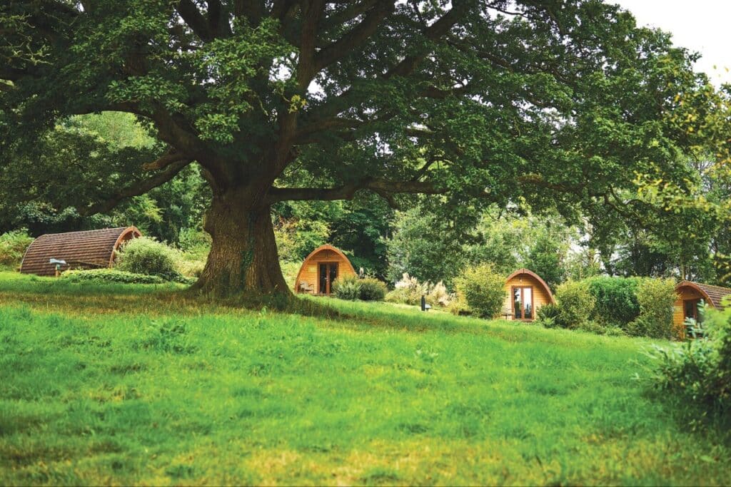 Whitemead Forest Park Lydney The Forest of Dean