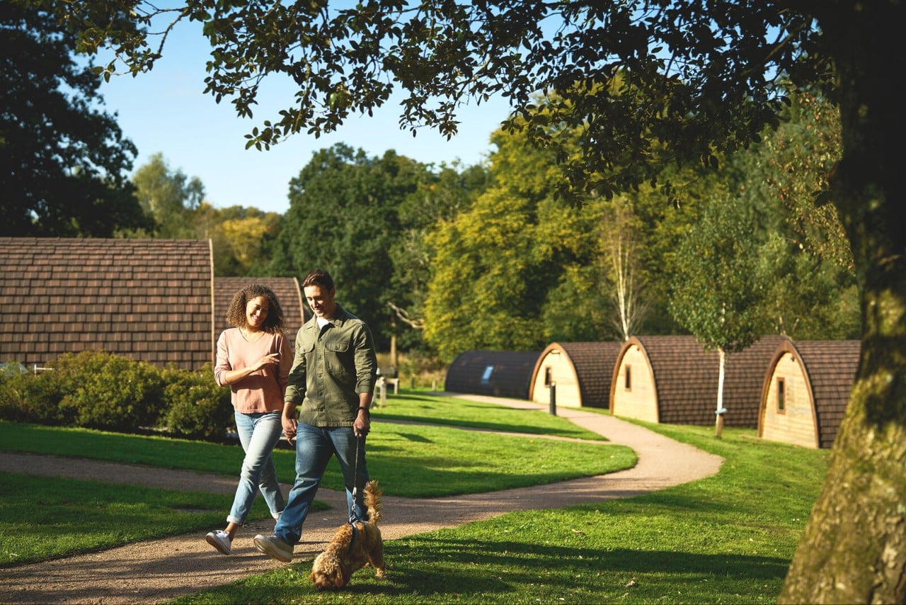 Whitemead Forest Park Lydney The Forest of Dean